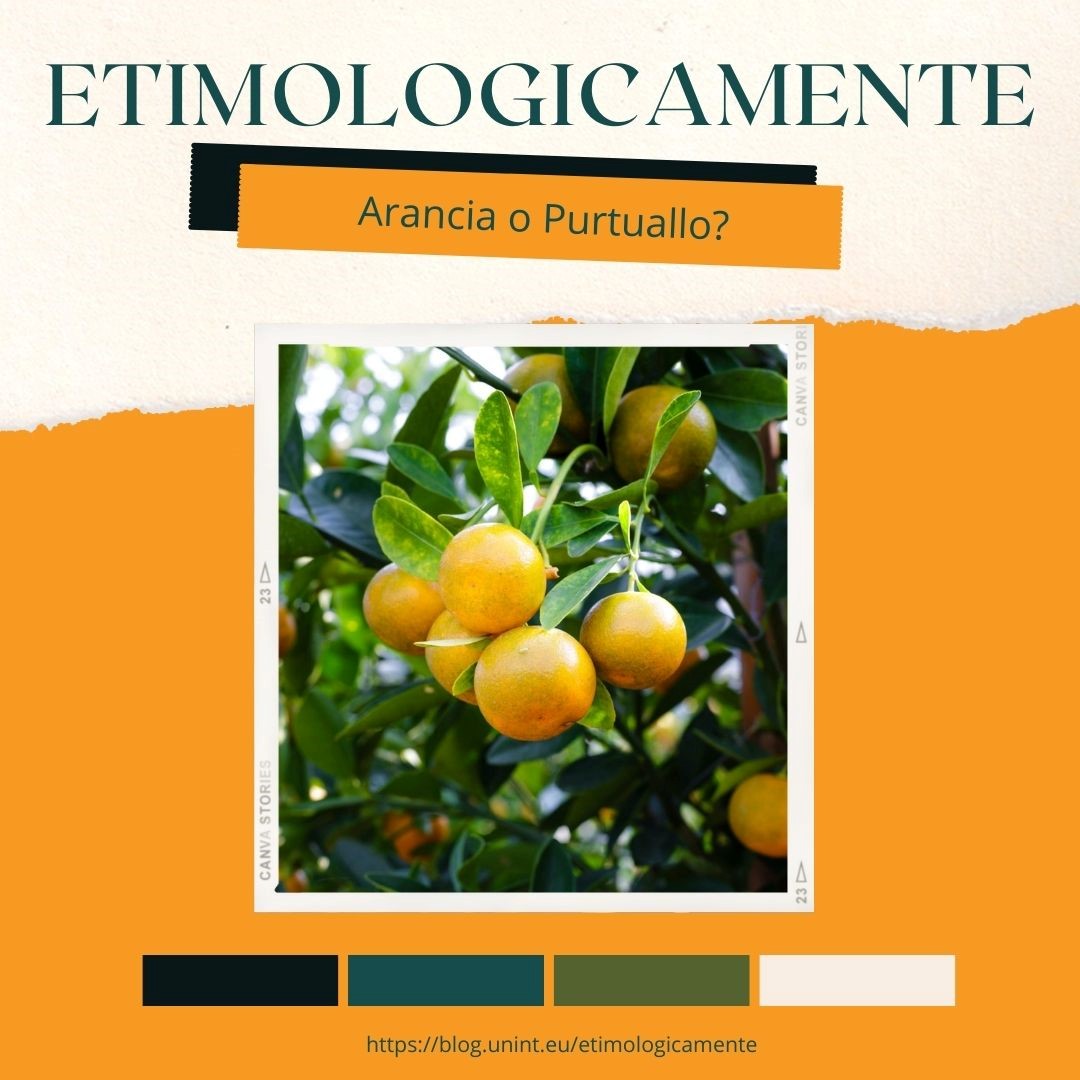 #ETIMOLOGICAMENTE – UNINT BLOG